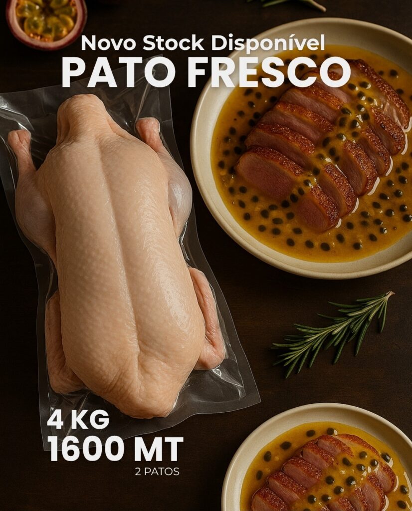 Dama Ija Celebra Hoje 40 Anos De Idade Ihapari